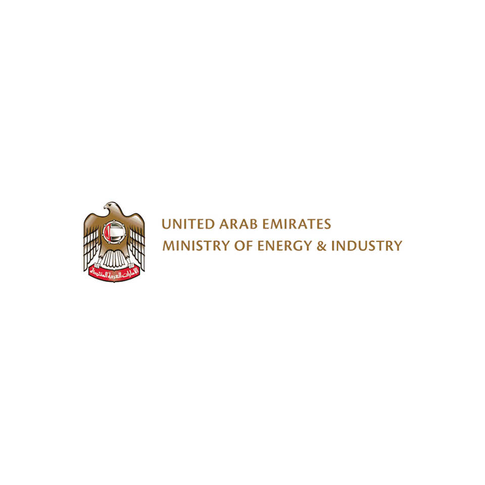 Start of a new project with the Ministry of Energy of the United Arab ...